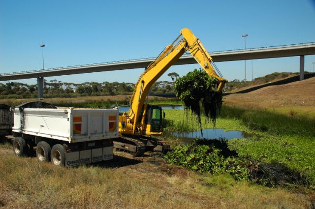 Anglopac – Environment Projects – Water Hyacinth mechanical and ...