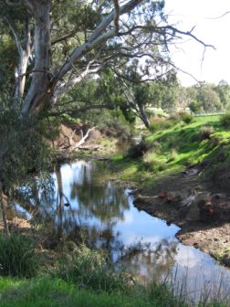 Anglopac – Environment Projects – Jim Crow Creek, Clydesdale.