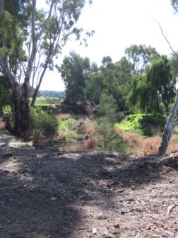 Anglopac – Environment Projects – Jim Crow Creek, Clydesdale.