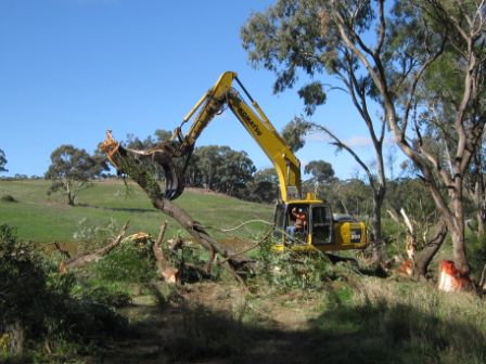 Anglopac – Environment Projects – Jim Crow Creek, Clydesdale.