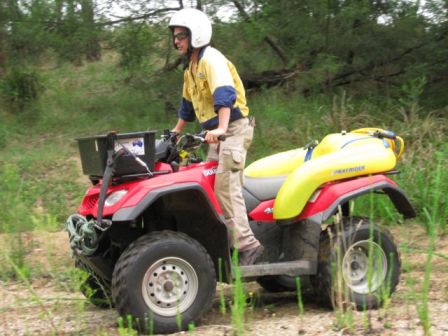 Anglopac – Environment Projects – Cann River, East Gippsland